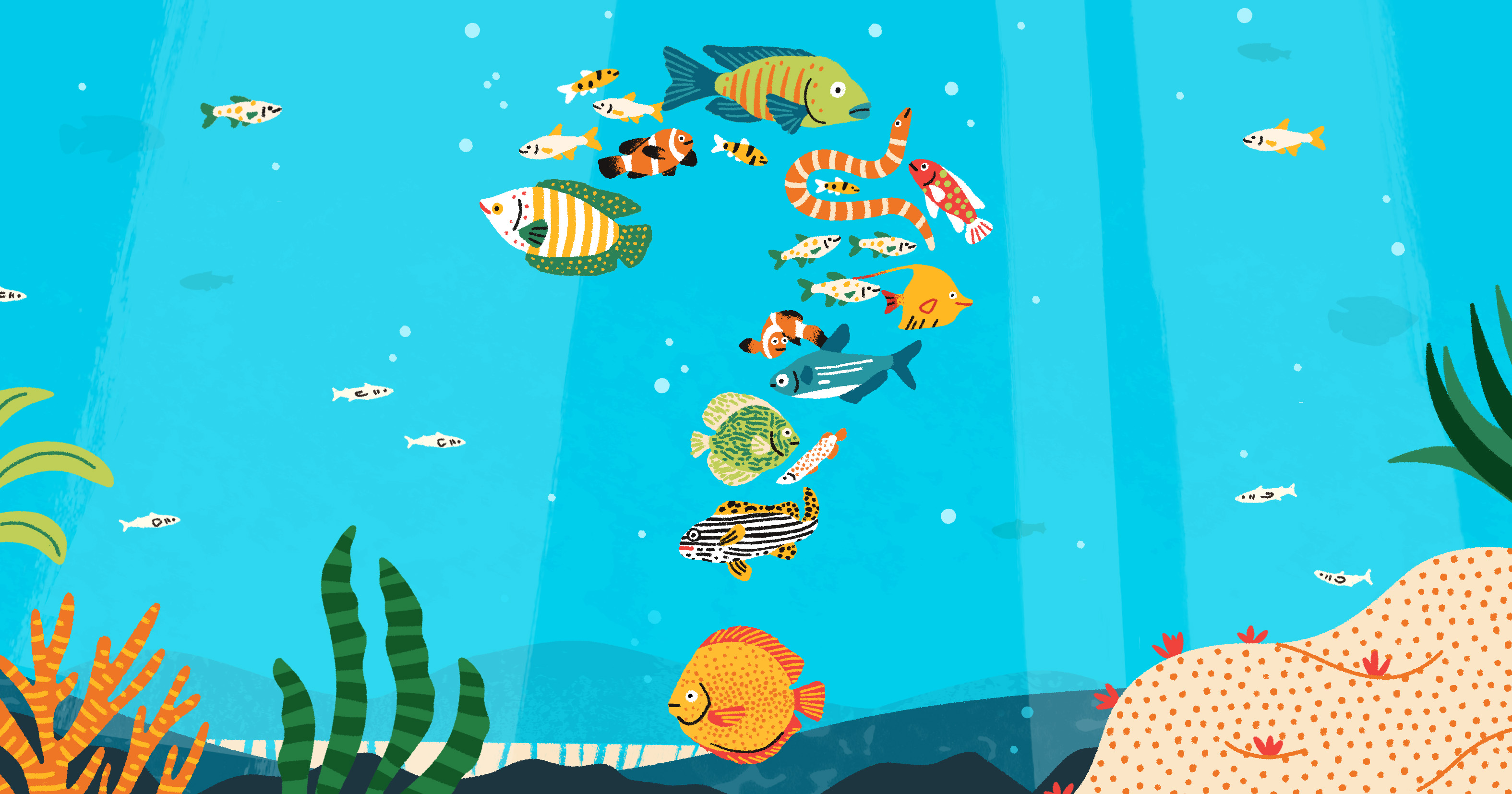 Climate Solutions - The Washington Post