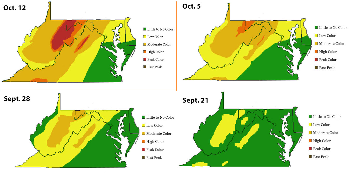 Washington, Maryland, Virginia fall foliage report - The Washington Post