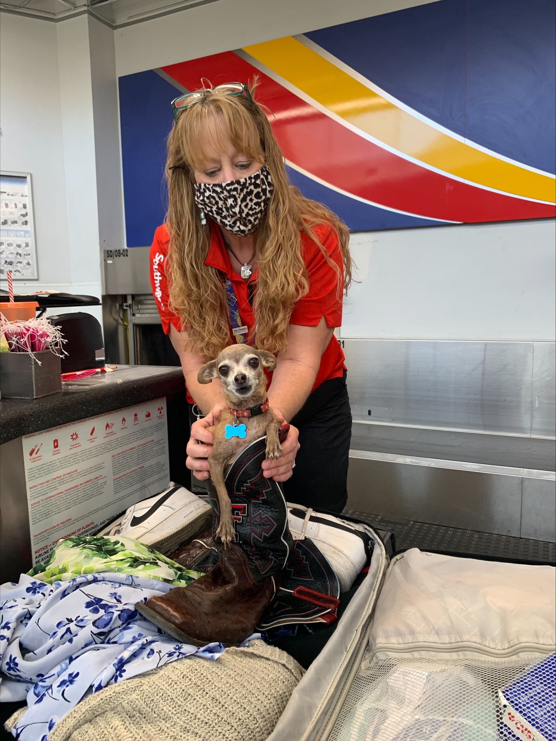 Can A Husky Fly Southwest