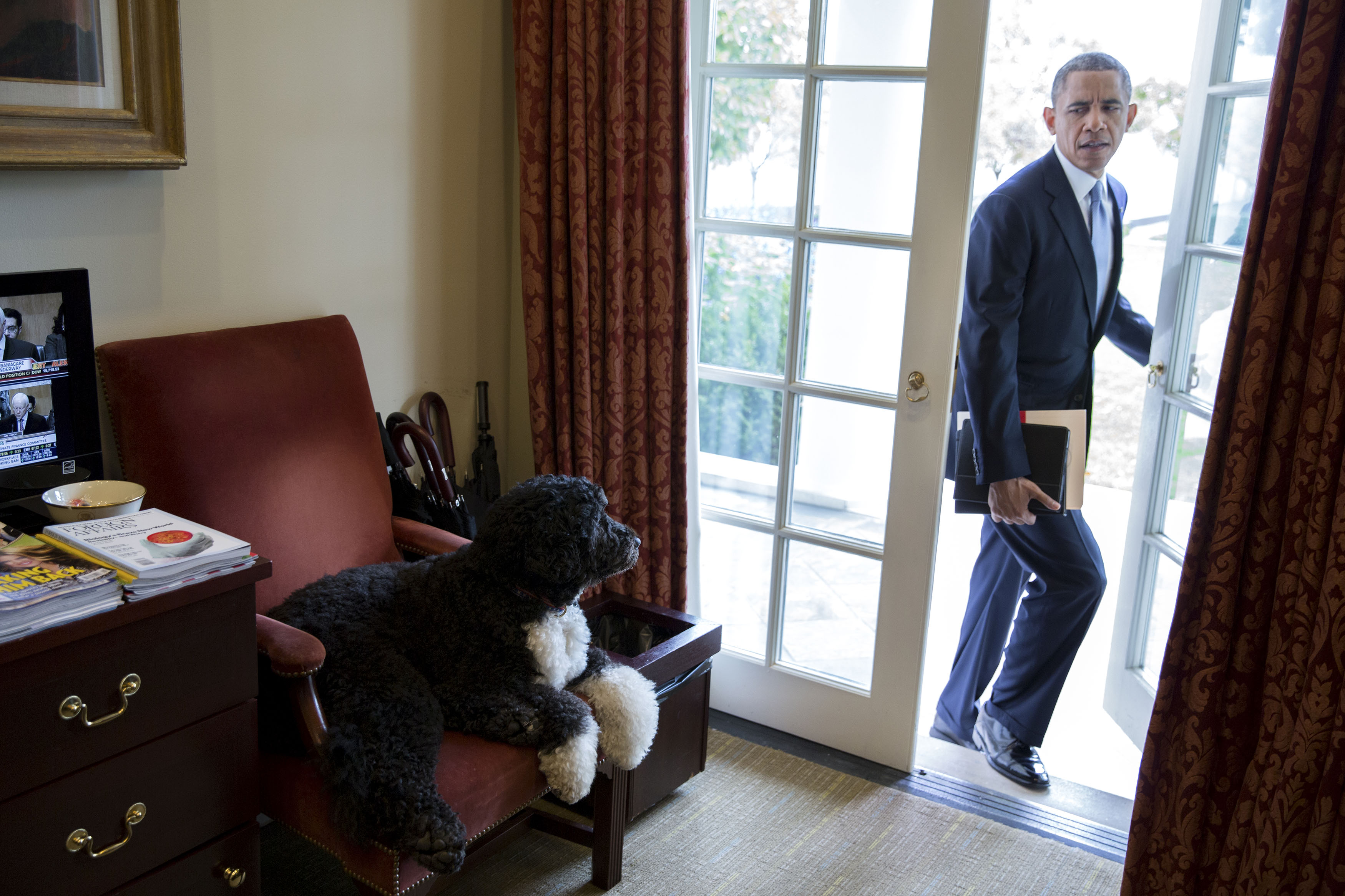 White House dogs: Answers to all your questions - The Washington Post