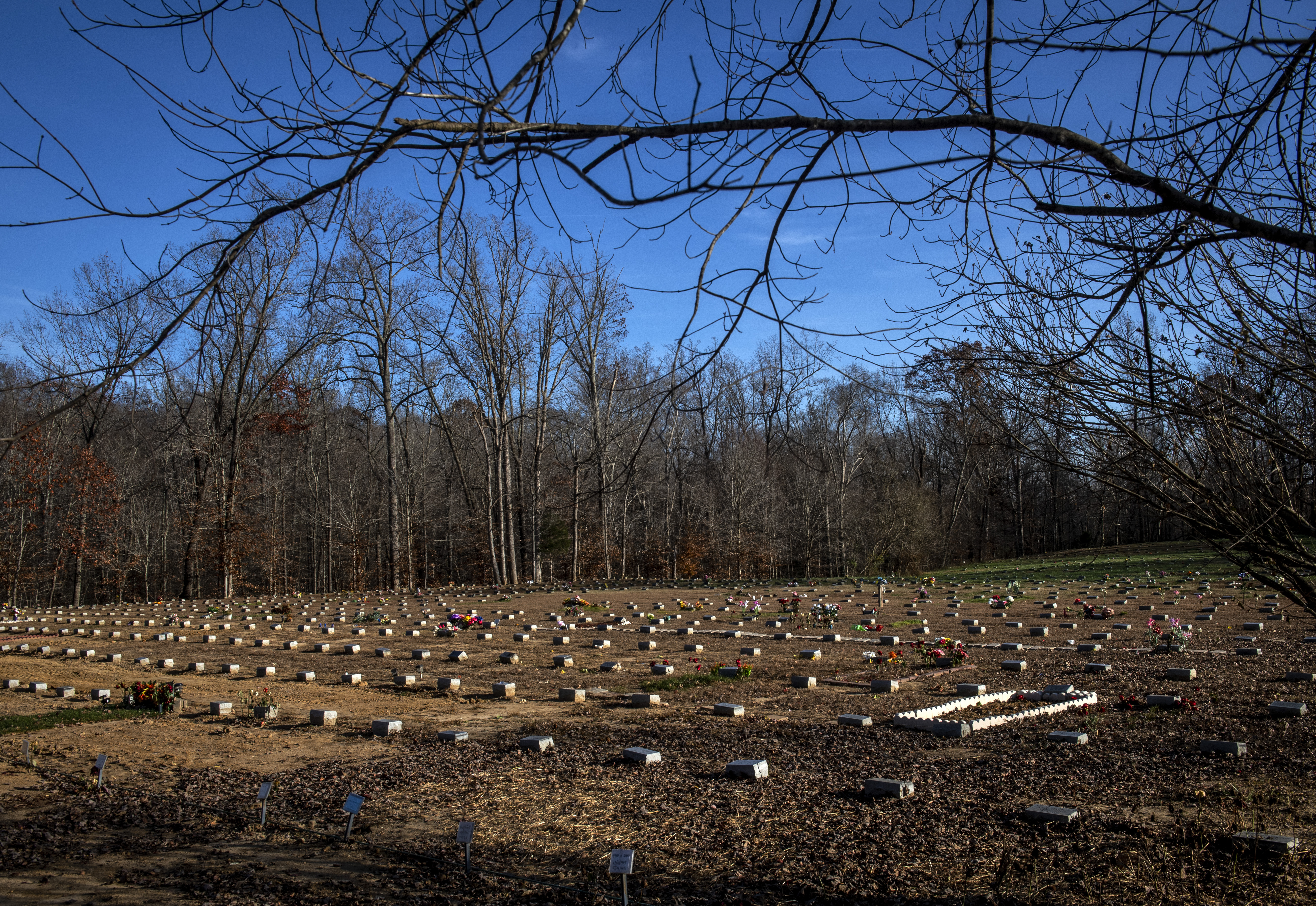 Muslim Burial