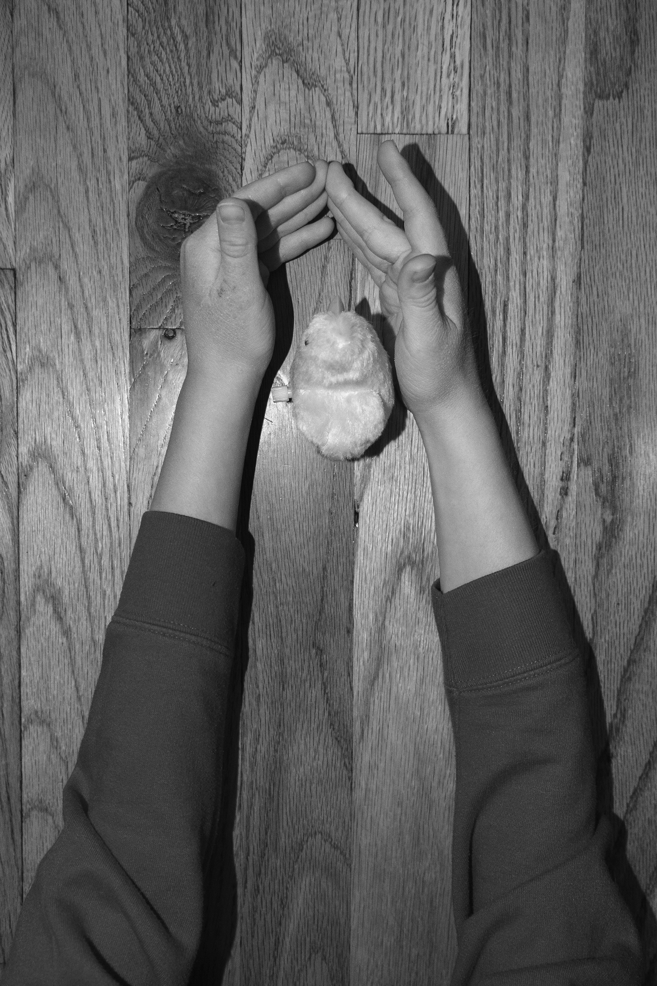 A mother and son create portraits to help remember the coronavirus ...