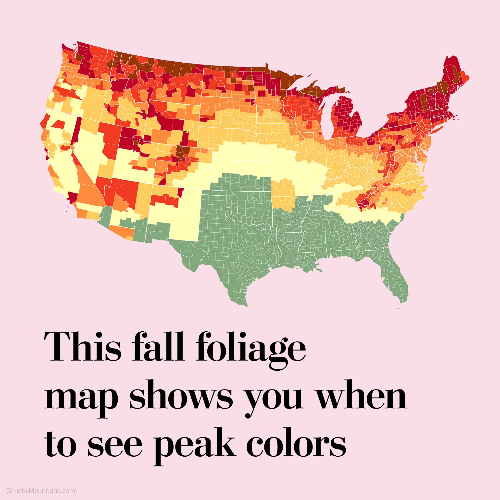 Fall Foliage Map 2025 Eva Maya