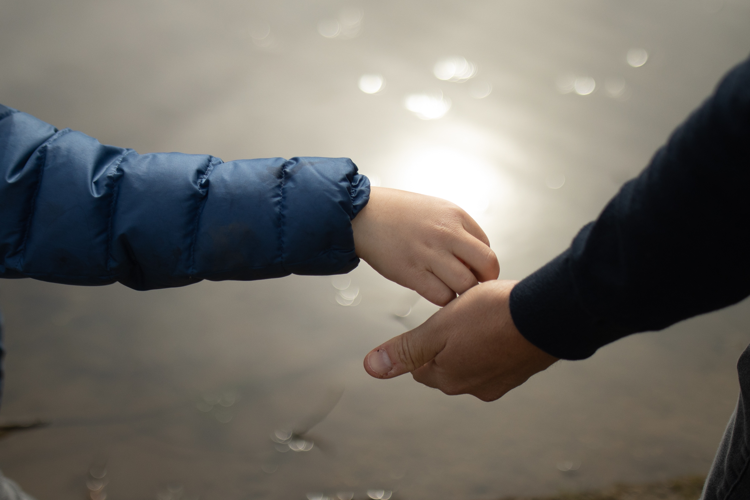 In Sight - The Washington Post