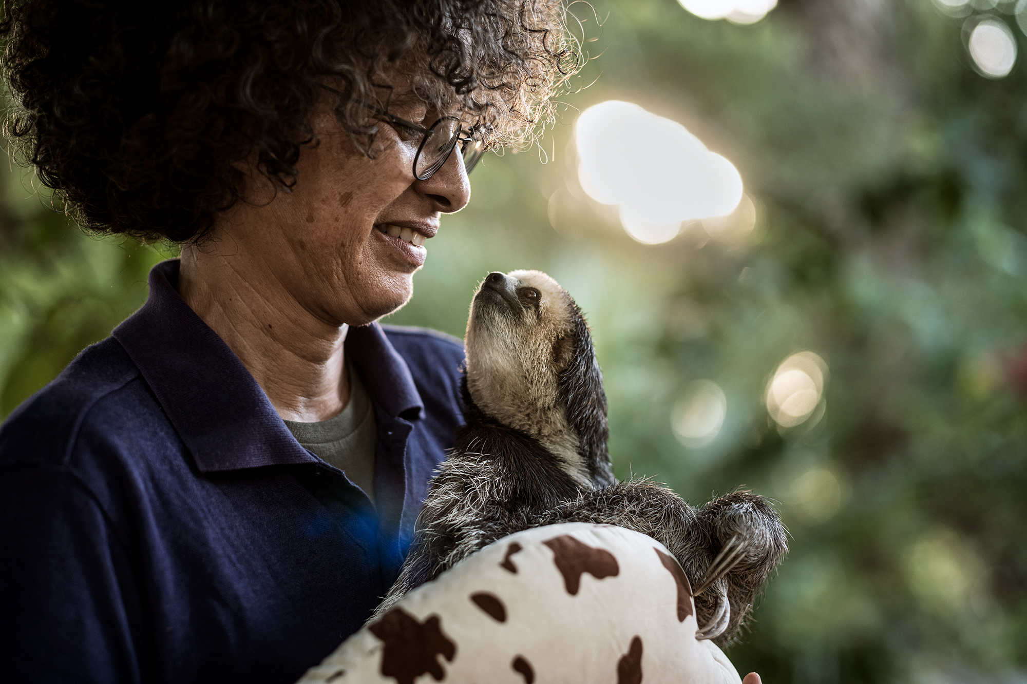 Monique Pool rescues and rehabilitates sloths in Suriname - The ...