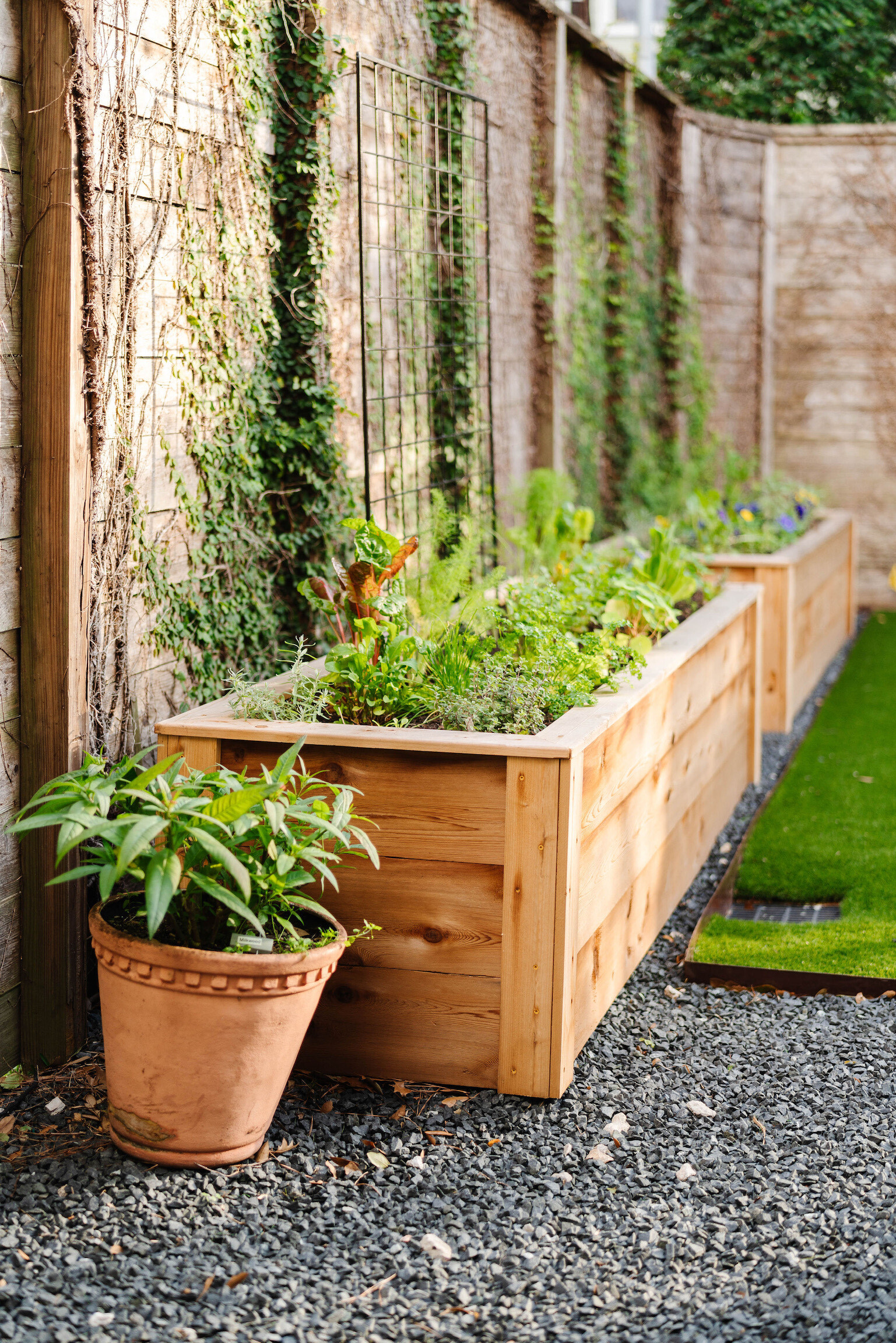 How To Create A Vertical Garden Best Plants For Vertical Planting