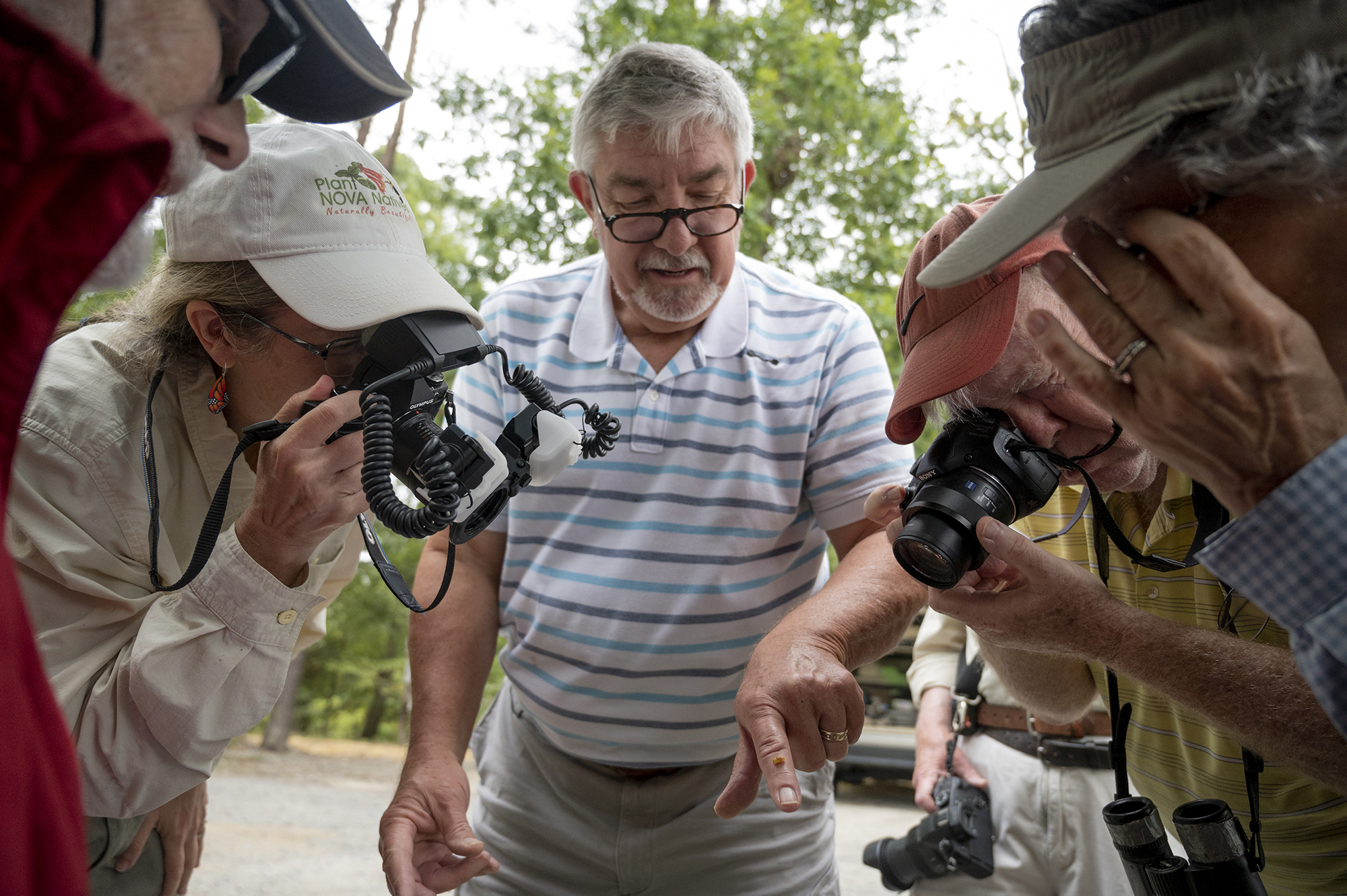 Photos of insects and the people who count them - The Washington Post