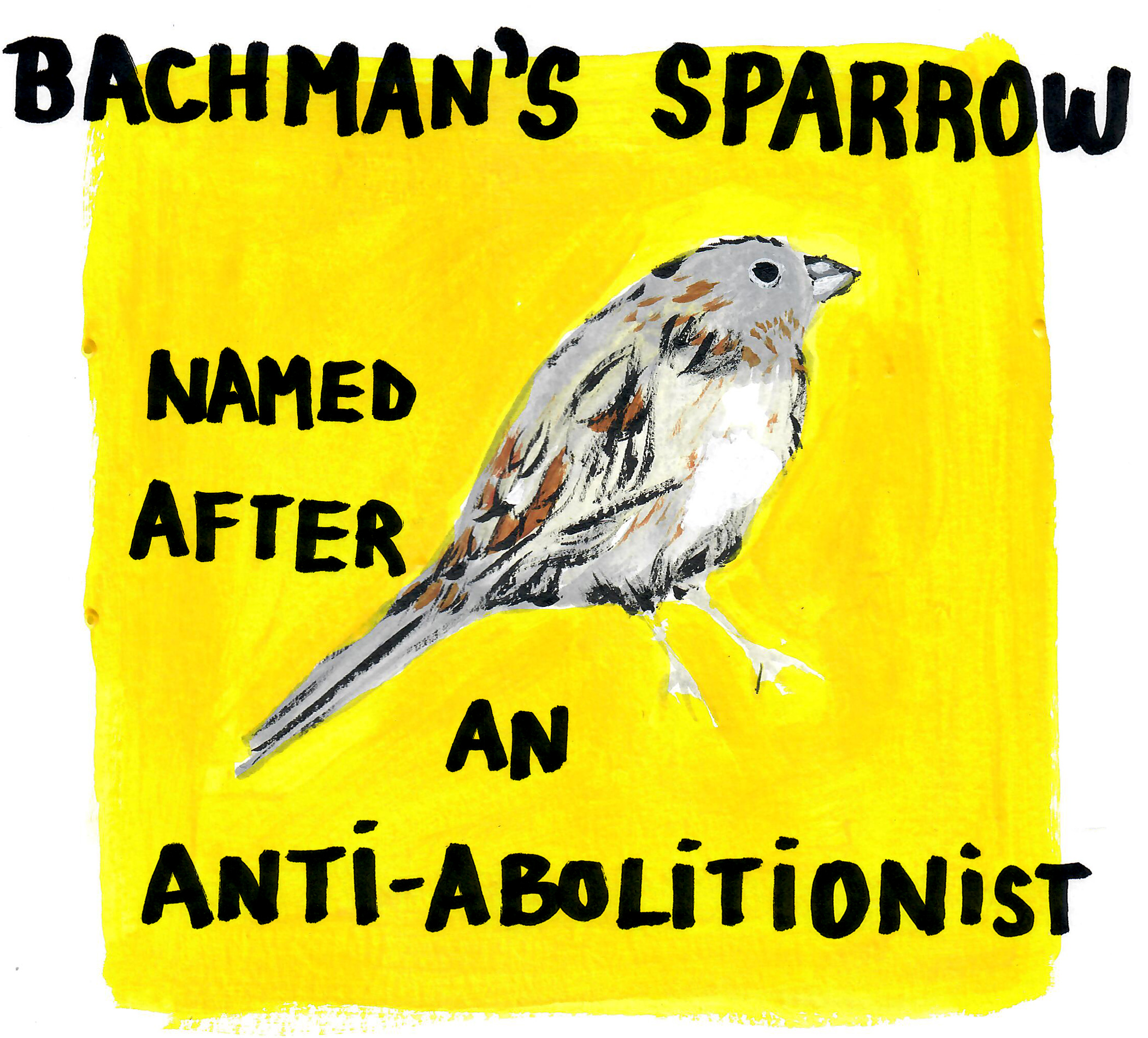 Remove all eponymous American bird names - The Washington Post