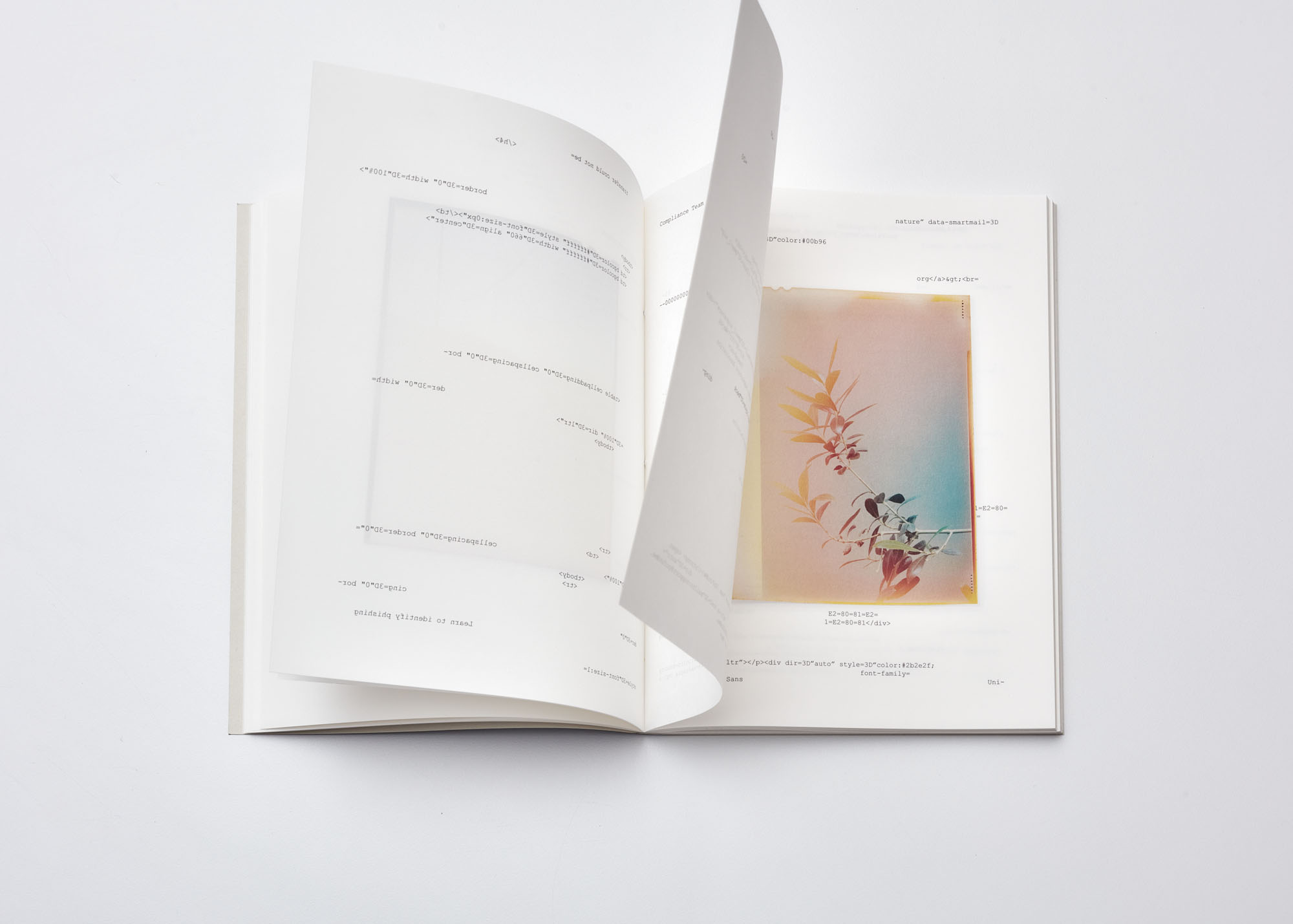 In Sight - The Washington Post