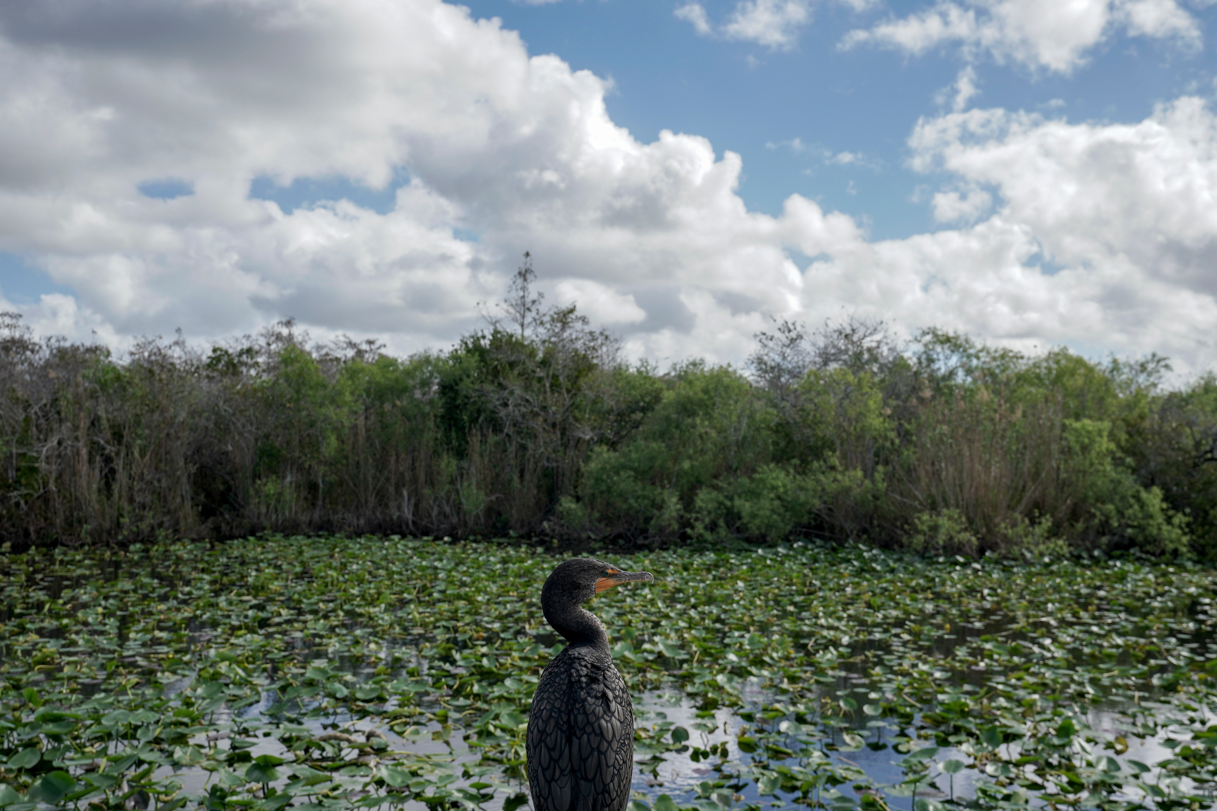 Everglades National Park An Overlander's Guide To Everglades National