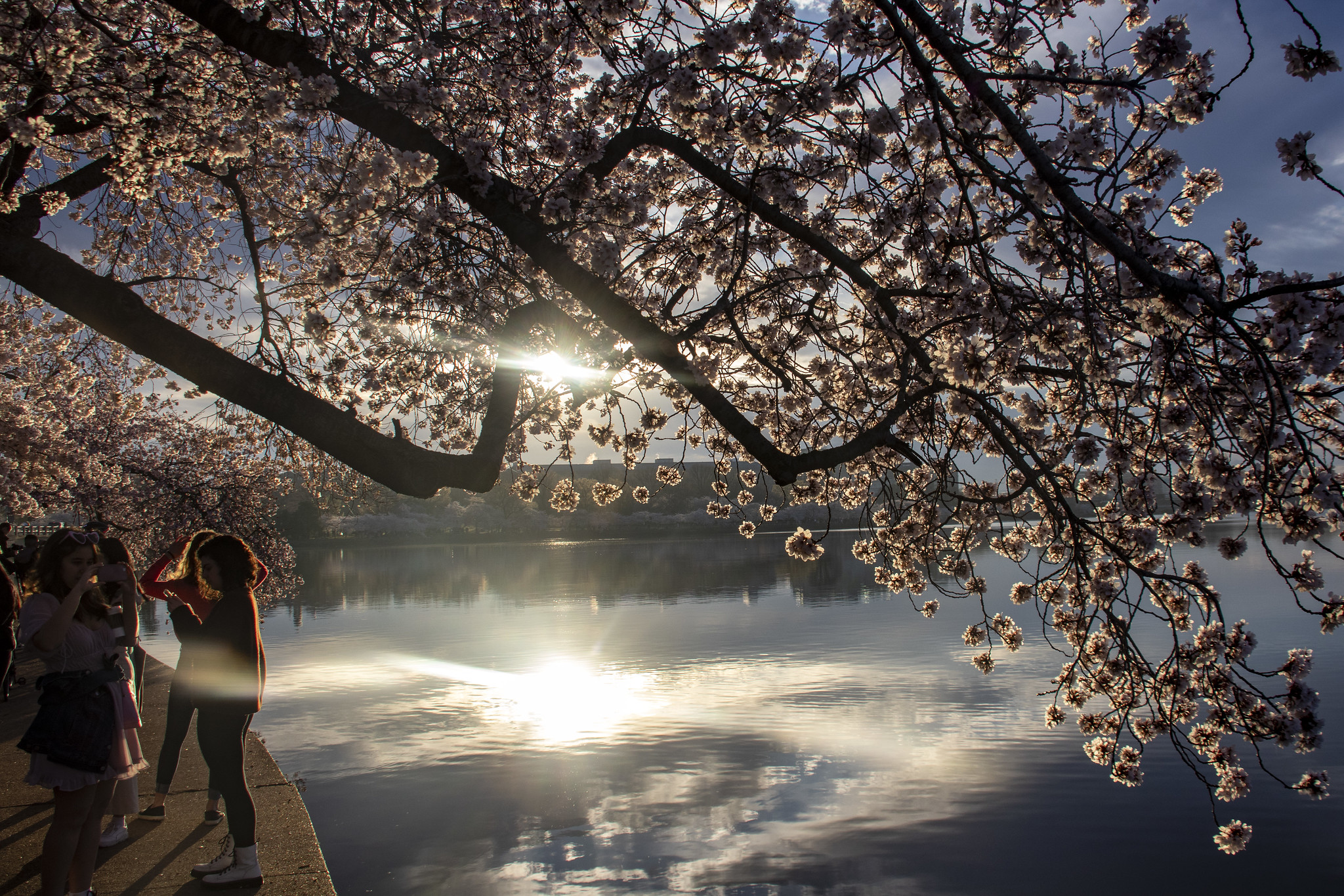 Capital Weather Gang - The Washington Post