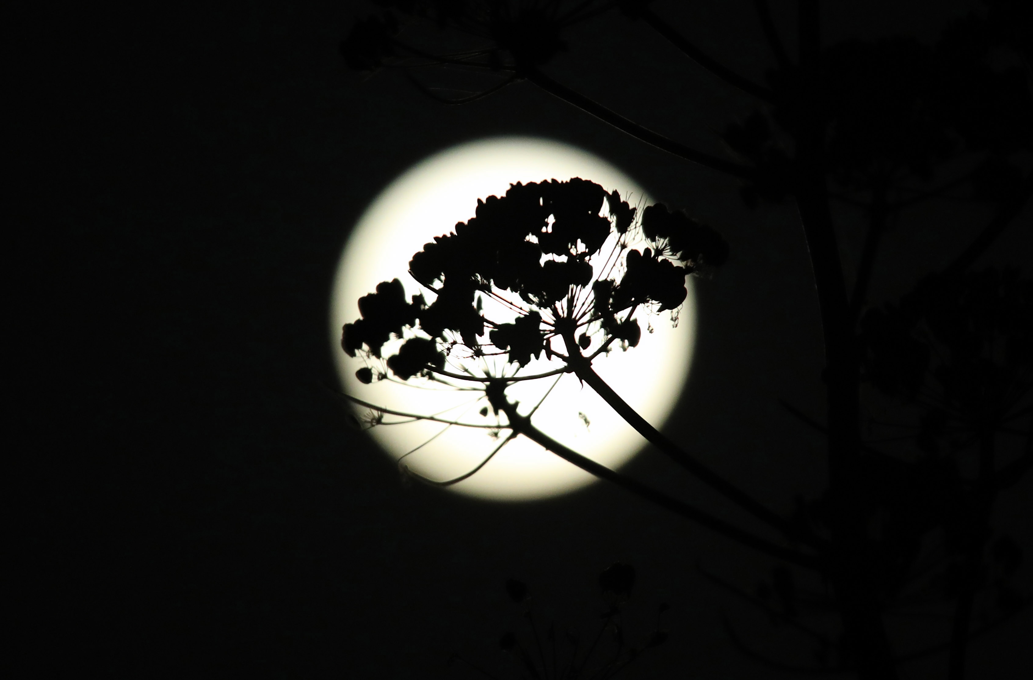 2017 Super Moon Supermoon 2017: This Weekend's Full Moon Is The