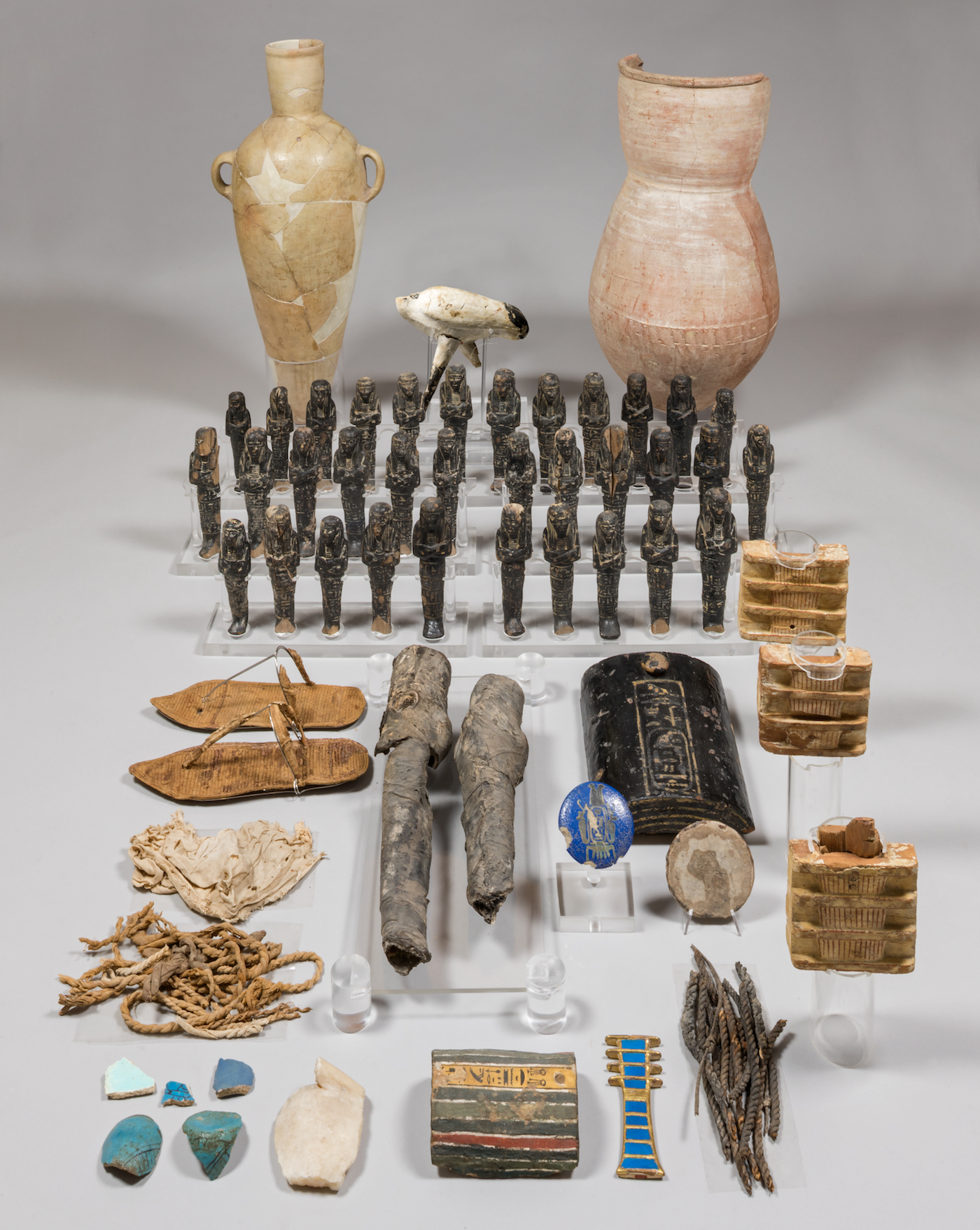 Khentiamentiu: Dig into these 5 astounding displays from Nat Geo’s ...