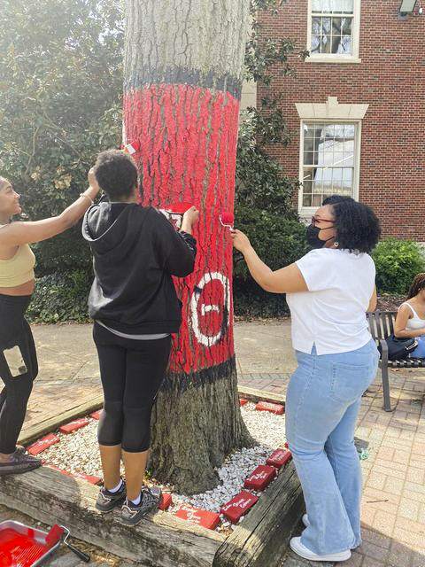Howard University Delta Sigma Theta