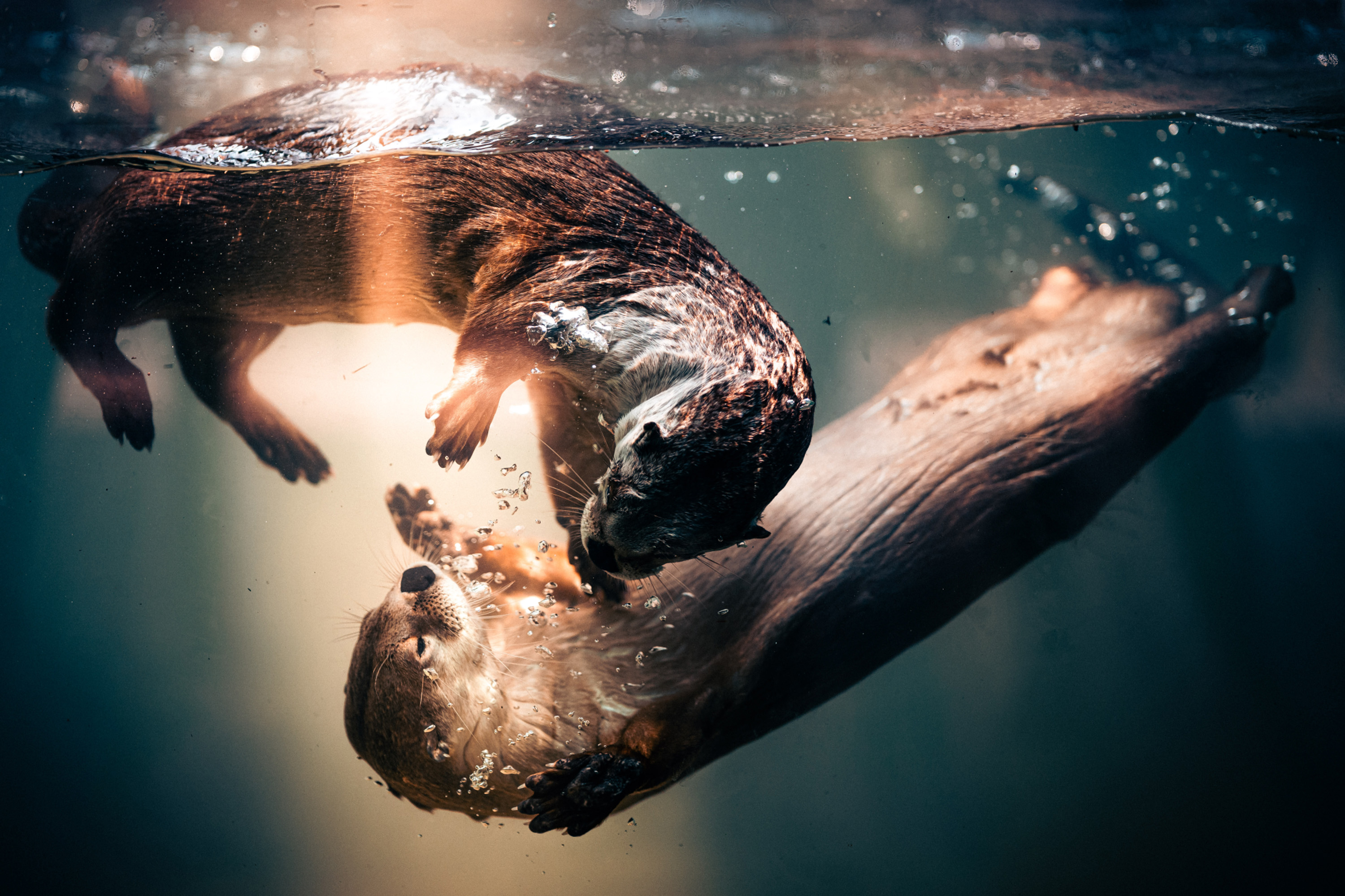 Best Photography Images World
