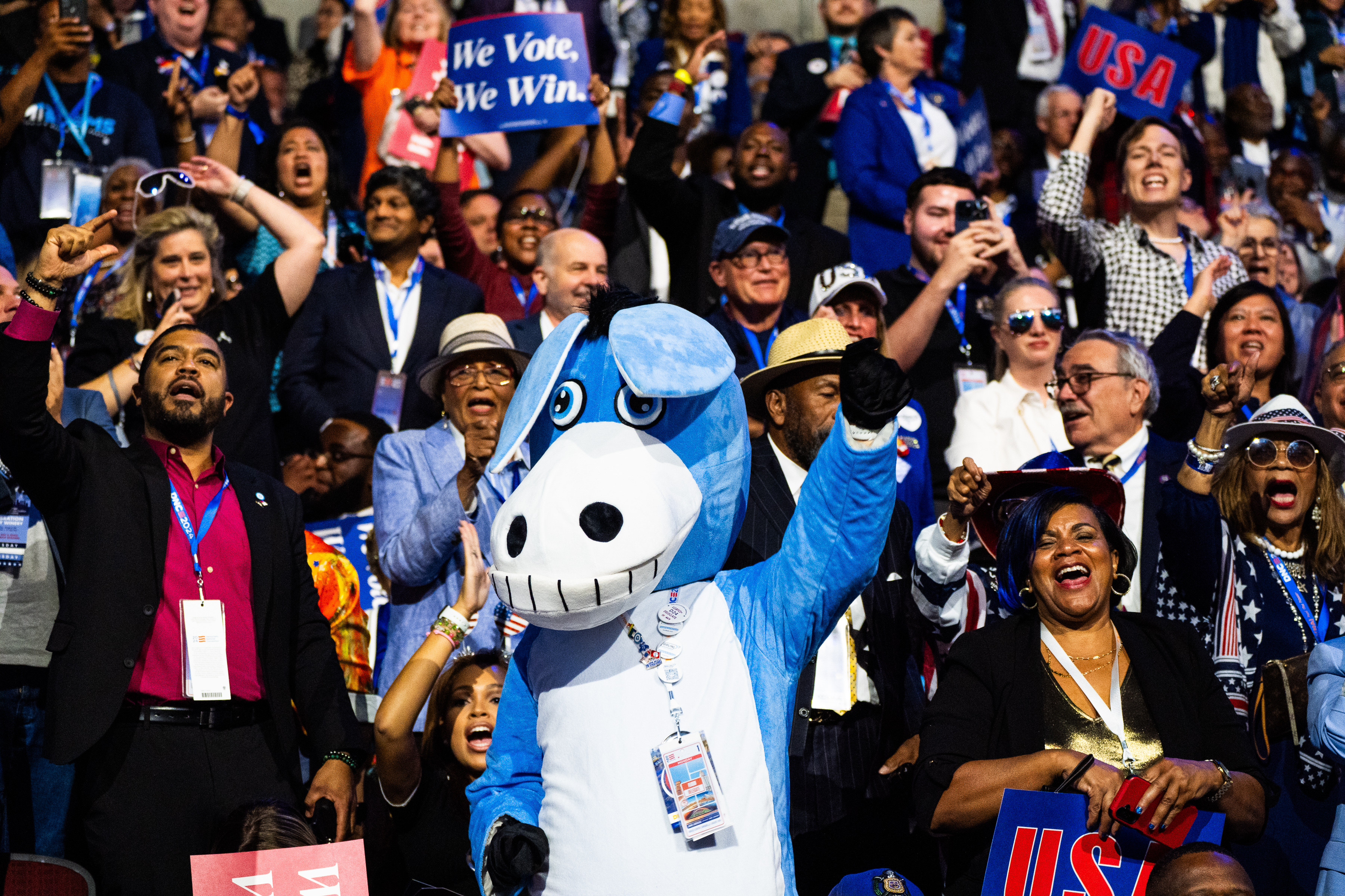 Democratic Party Color
