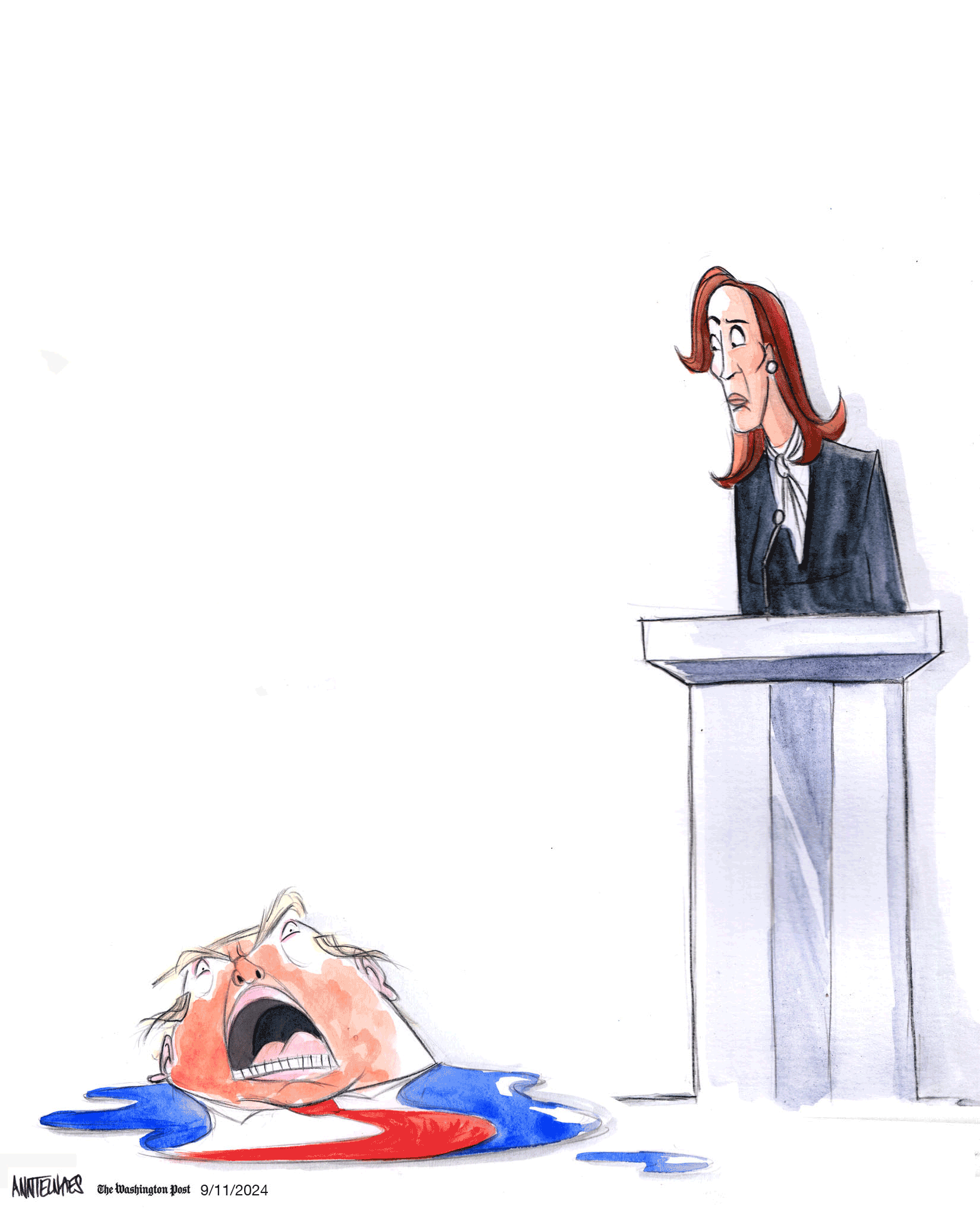 Some debate cartoons from Washington Post - Democratic Underground Forums