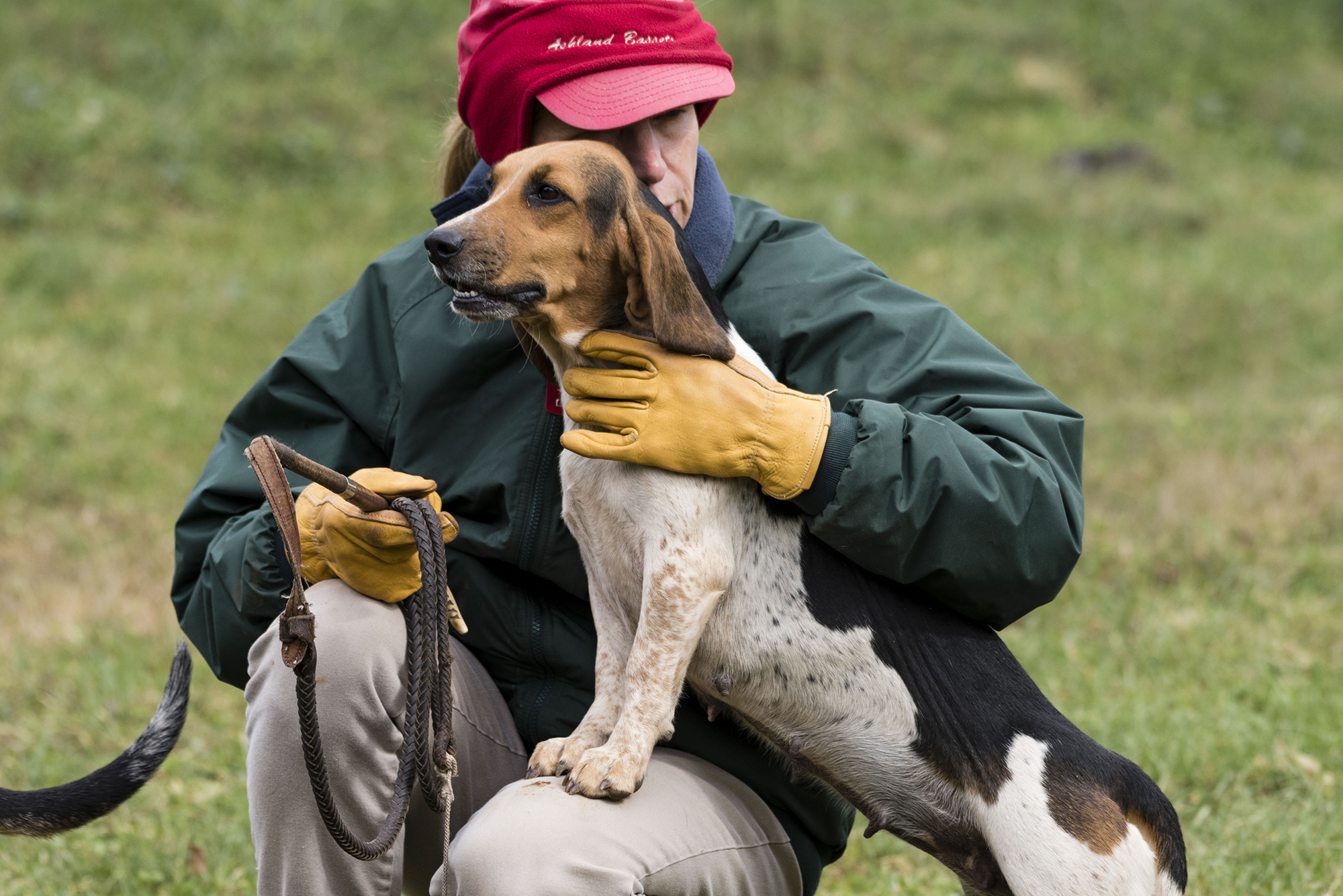 Julie McGuire documents a pack of hounds as they participate in foot ...
