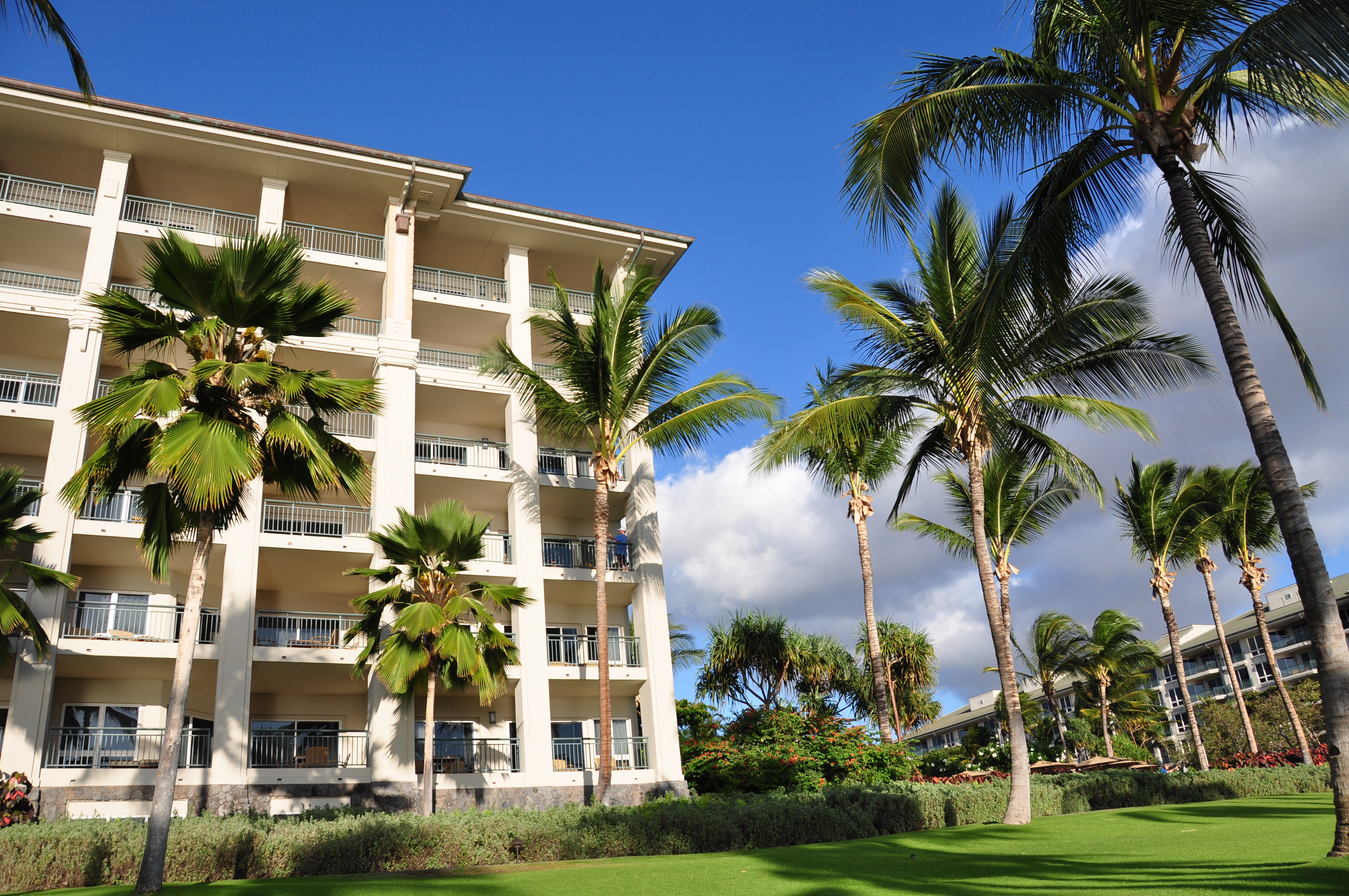 Association Condominium Loss Assessment Association Reserves: Condo