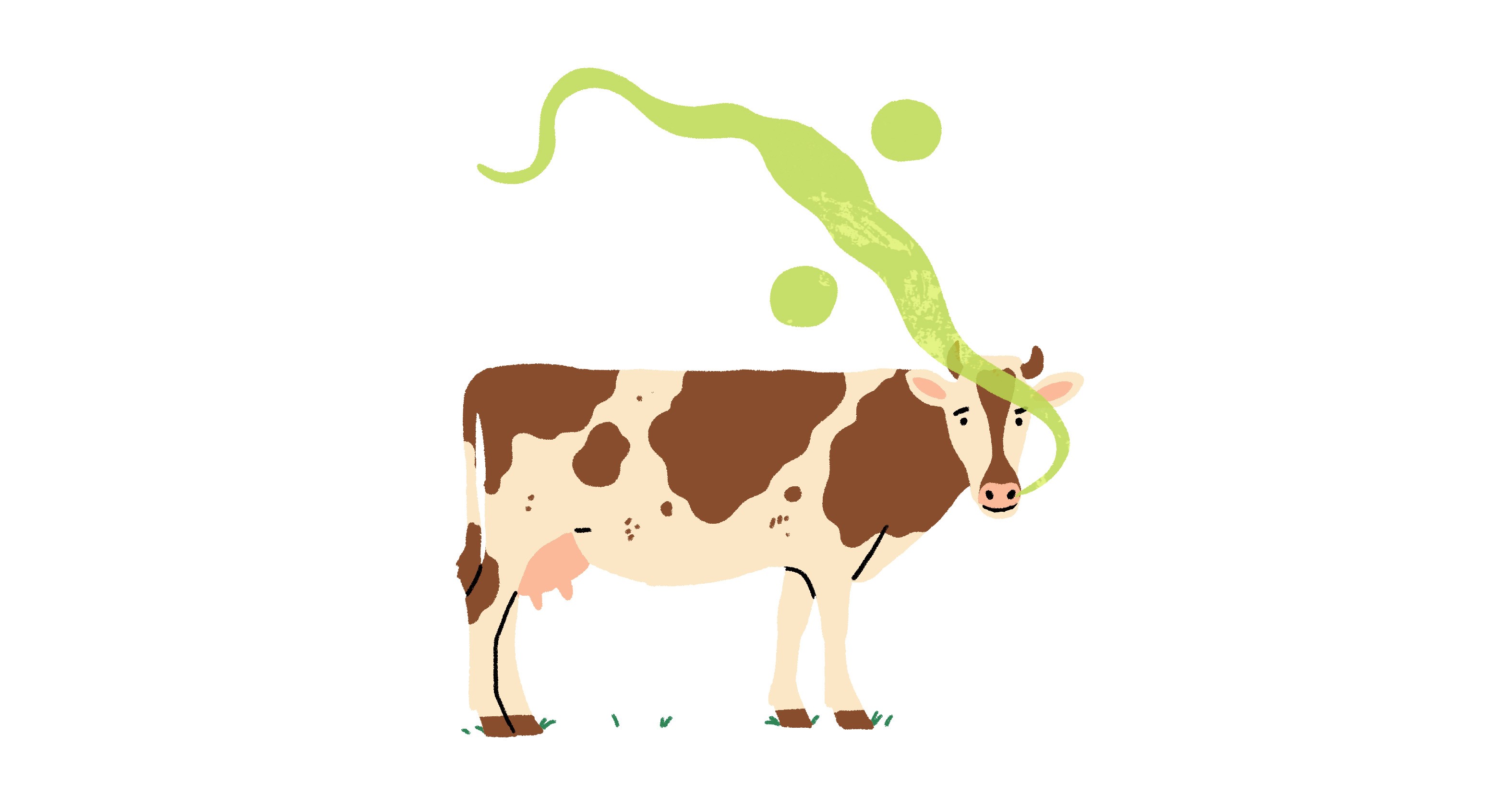 Washington Post Climate quiz - The Washington Post