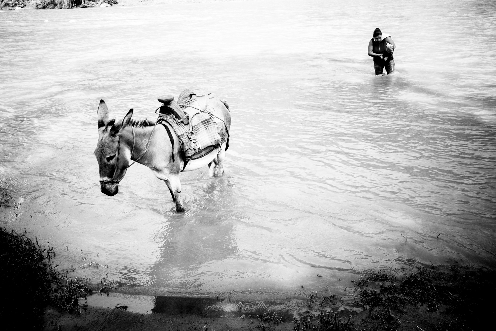 Hoping to preserve ancestral homelands and culture, these indigenous ...