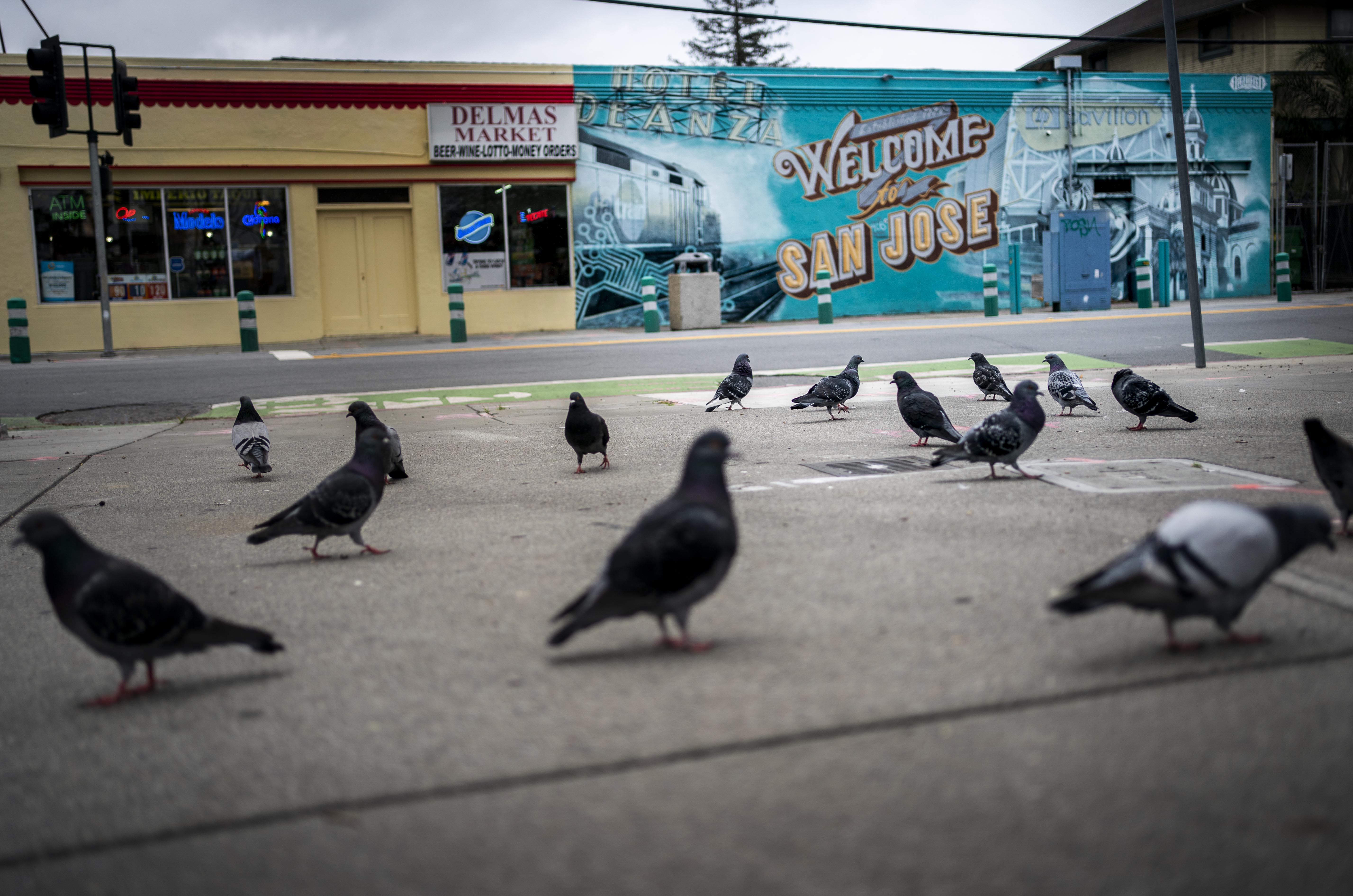 California lockdown rules: The Bay Area’s coronavirus response previews ...