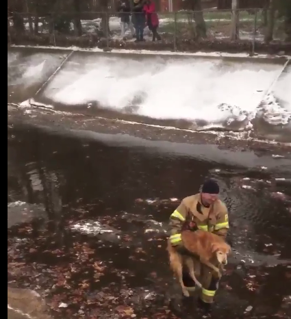 Season’s first snow in Washington on a work day falls on a cold Friday ...