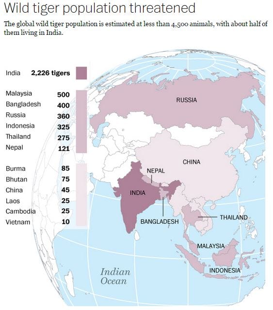India’s ‘huge success’: Tiger population up a whopping 30 percent - The ...