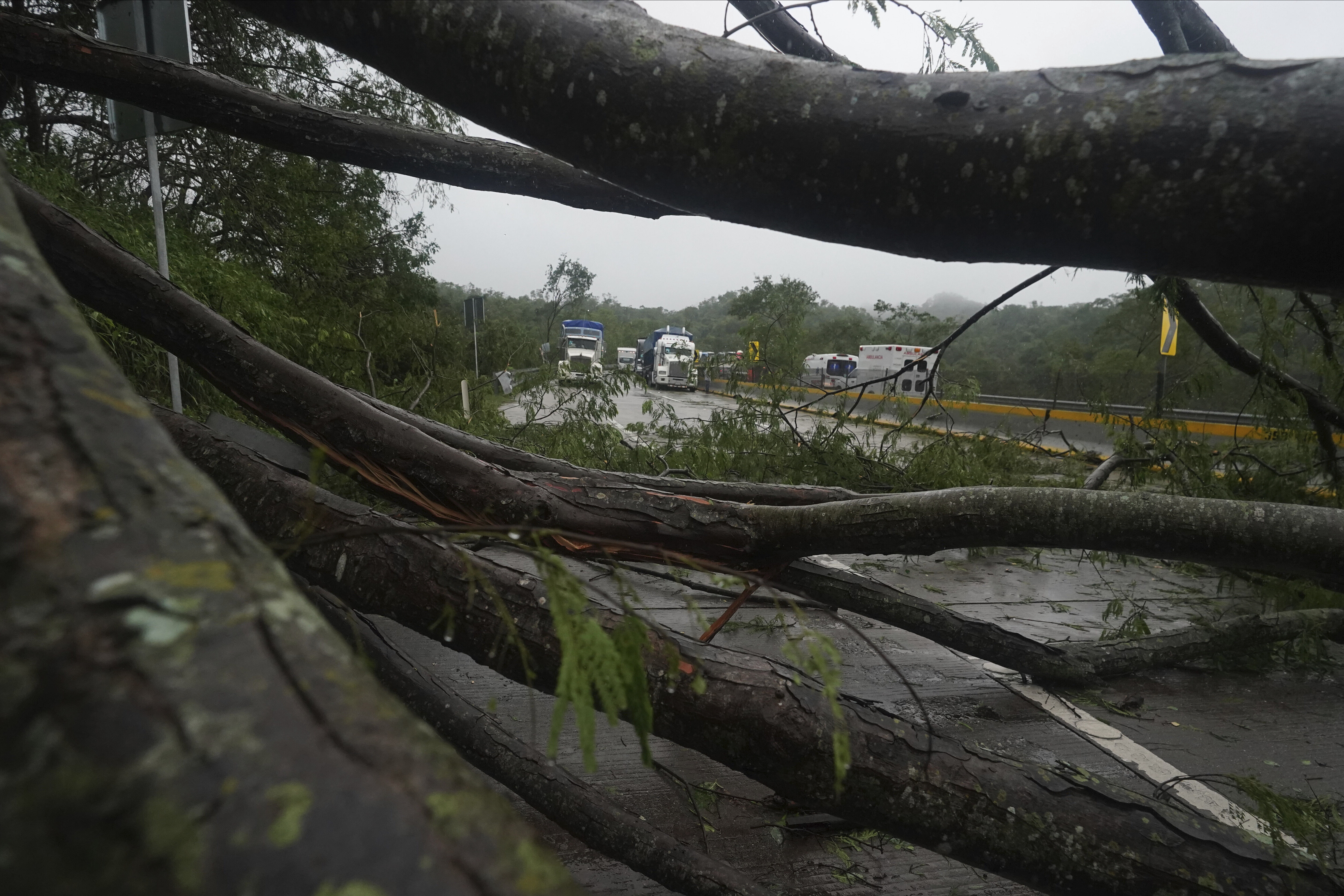 Hurricane Otis path tracker: Predictions, forecasts and maps - The ...