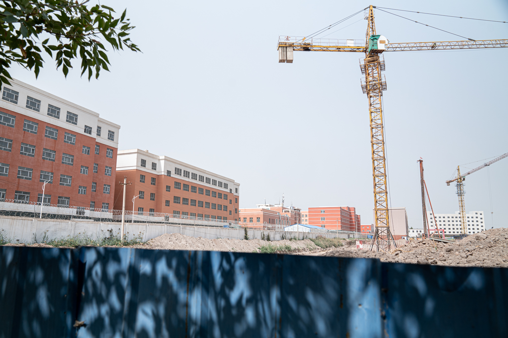 Anna Fifield - The Washington Post