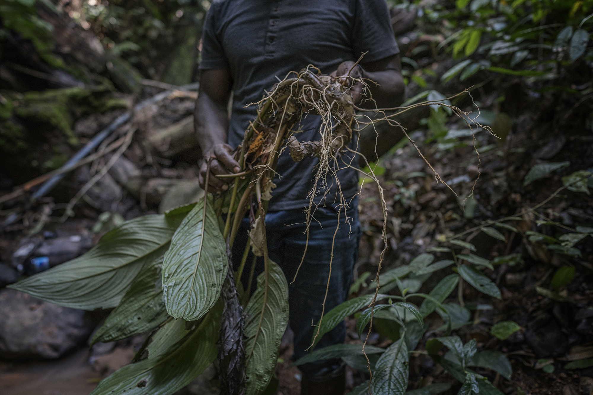 The eroding life for the Batek of Kuala Koh, Malaysia’s last hunter ...