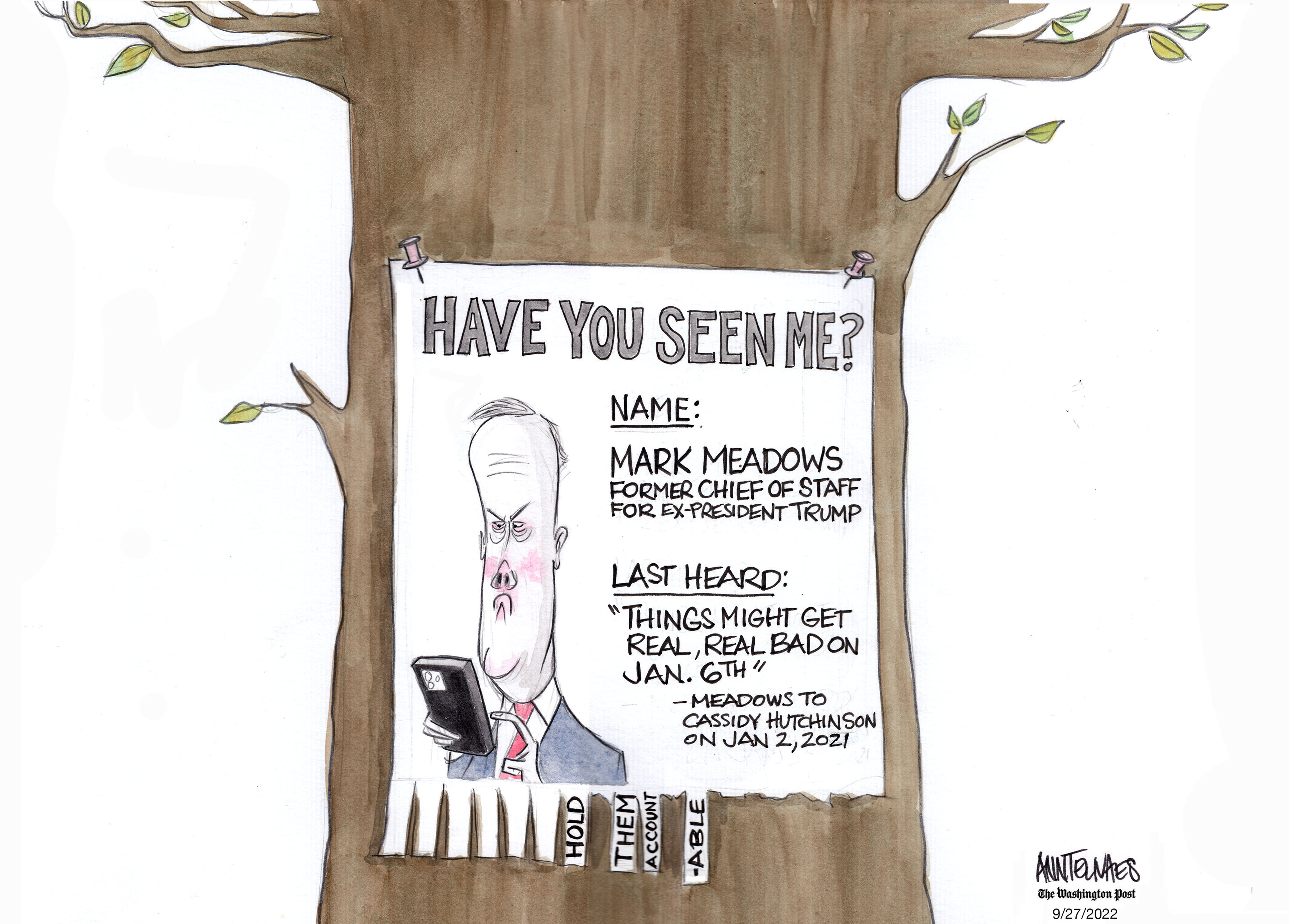 Wednesday TOONs - Missing Person - Democratic Underground Forums