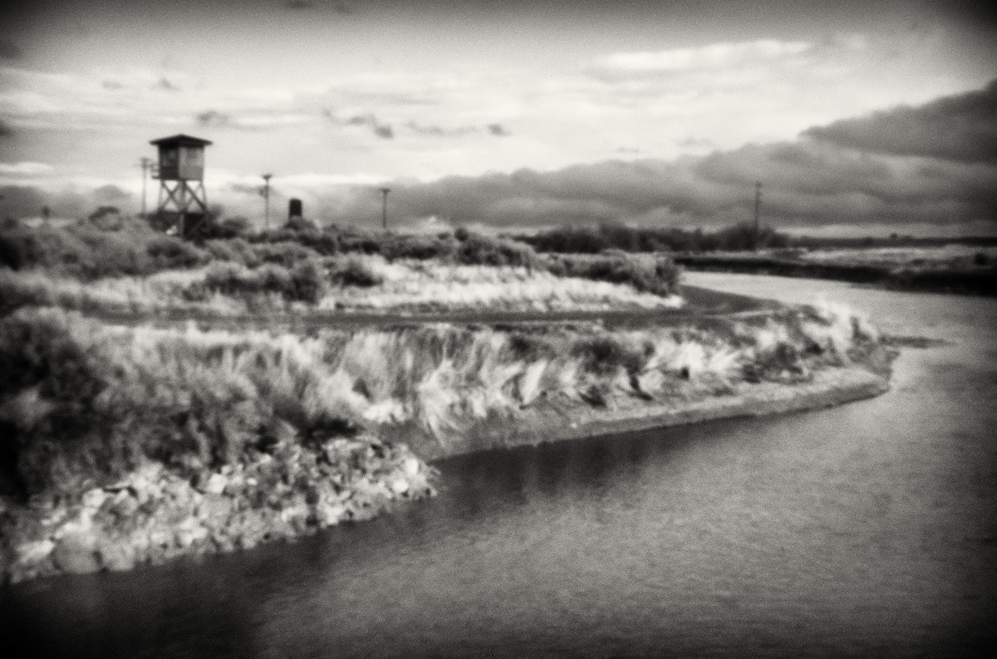 Japanese Internment Camps Food